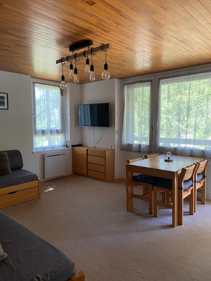Superbe Appartement Triple Exposition - Vars
