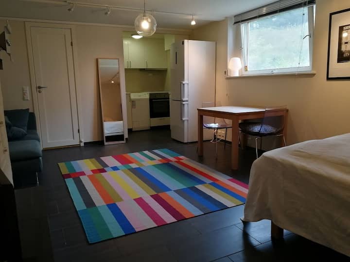 Hybelleilighet Sverresborg, Egen Inngang - Trondheim