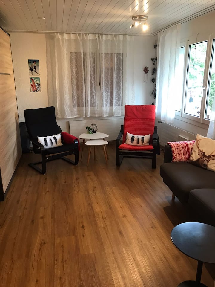 Schöne 2 1/2 Zimmer-wohnung An Zentraler Lage - Grindelwald