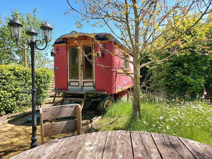 La Roulotte Des Baladins - Gesves