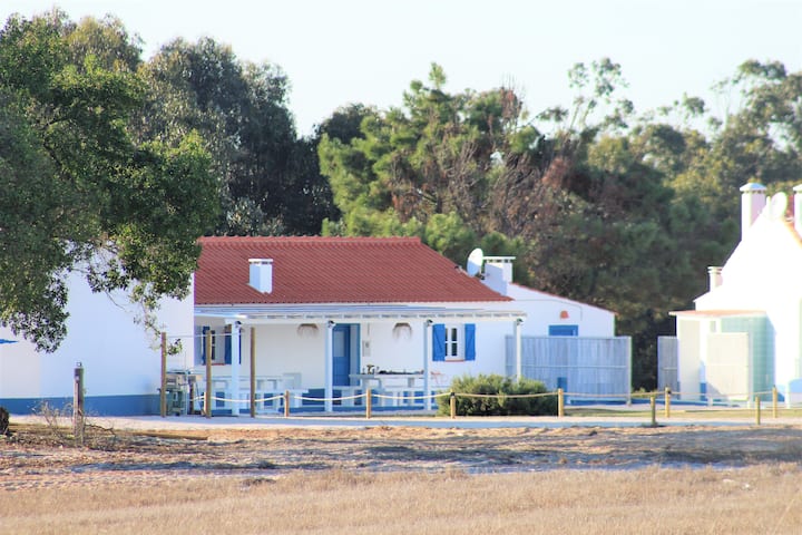 Green House - Porto Covo