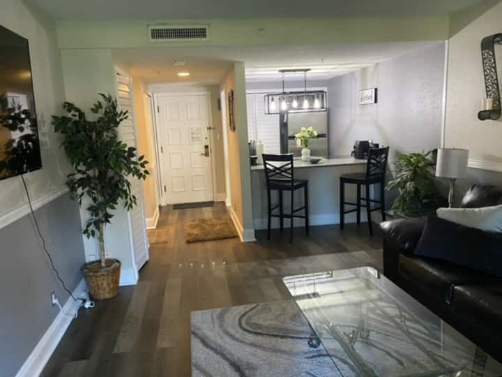 Beautiful 1 Bedroom Condo / Innisbrook Golf Resort - Fred Howard Park, Tarpon Springs