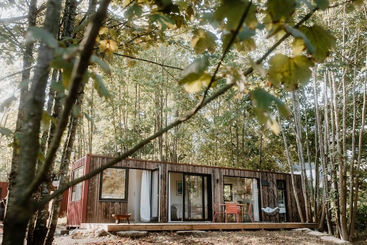 "Cozy Cabin Nord" Mit Privater Fasssauna - Harz
