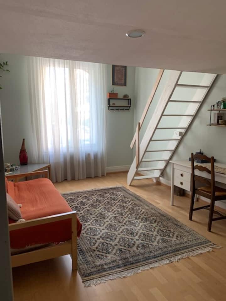 Chambre Dhôte Spacieuse Et Calme En Mezzanine. - Strassburg