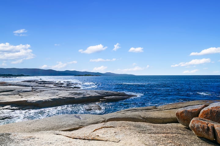 Waubs Waves-stylish Beachside Van With Water Views - Tasmania