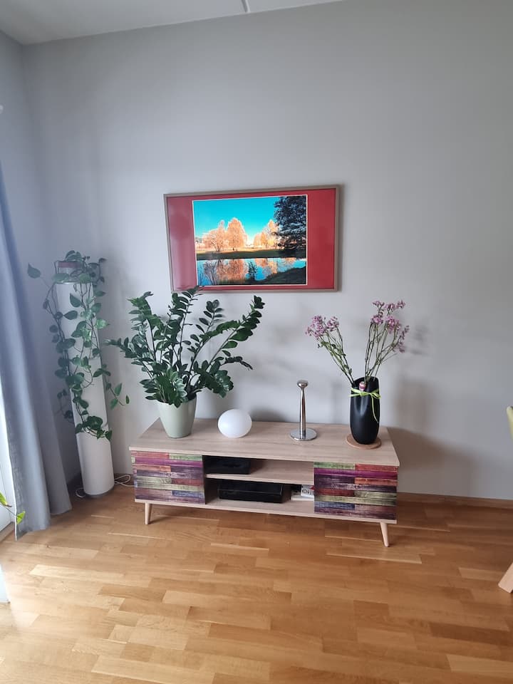 Fantastisk Leilighet Ved Oslo Fjord, På Sørenga! - Oslo