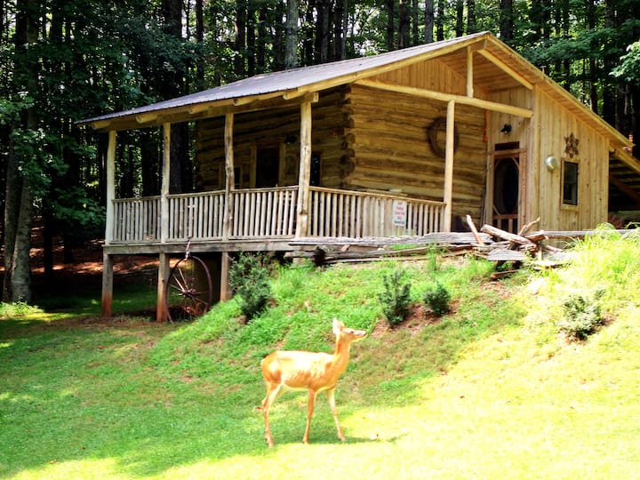 The Carter Cabin At Parsons Corner! - Galax, VA