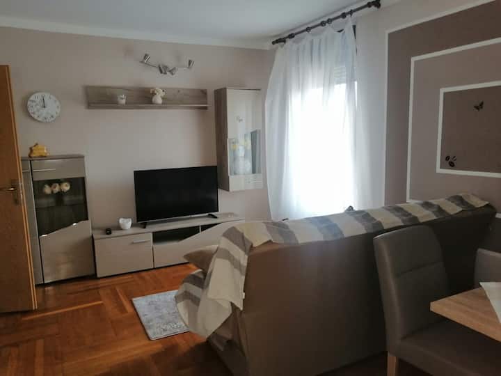 Apartman S 1 Spavaćom Sobom I Balkonom - Karlovac