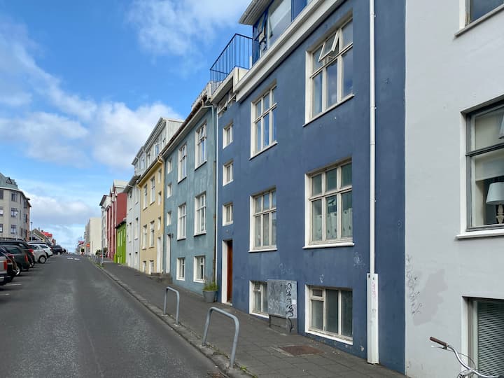 101 Reykjavik Cosy Flat In A 1930's House - 雷克雅維克