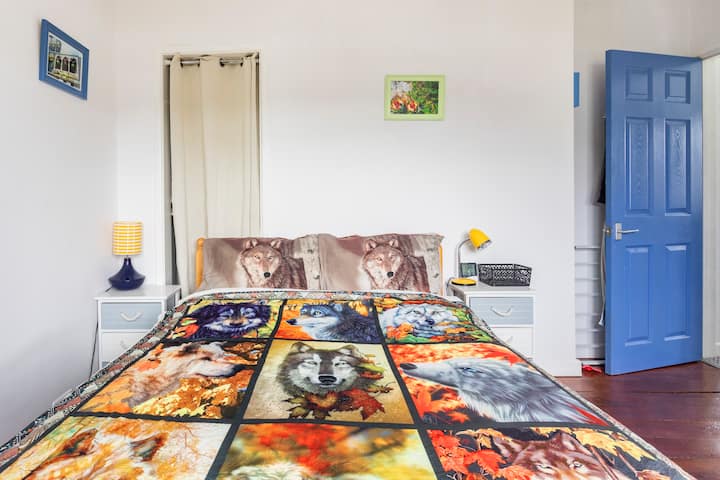 Room In Truro With Street View And Husky - Cornouailles