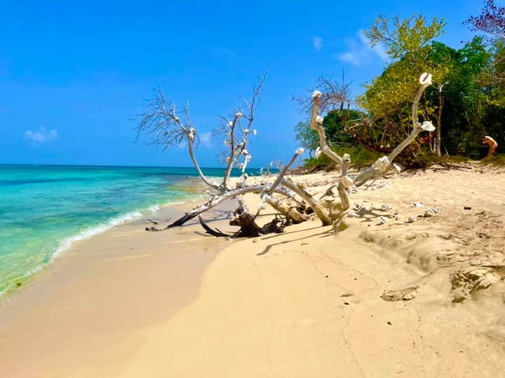 Gone Coastal @ Pelican Cove - Saint Croix