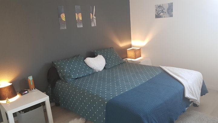 Grande Chambre Privée Au Calme - Toulouse