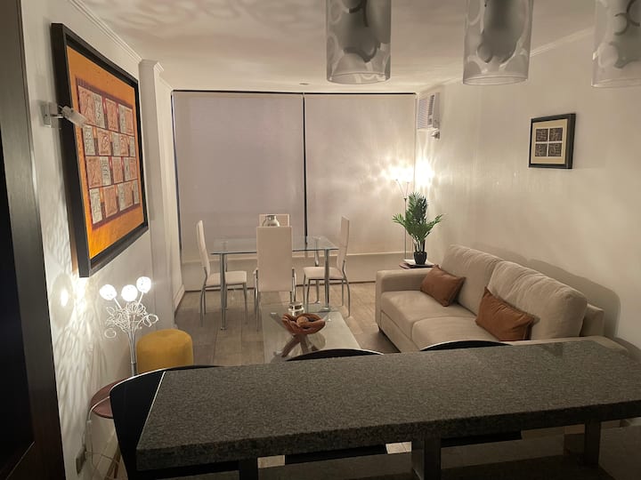 Hermoso Departamento, Excelente Ubicación - Santiago