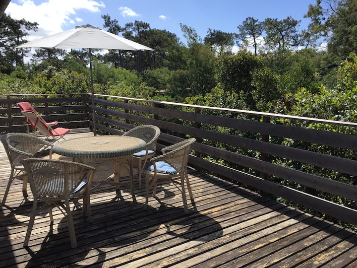 Villa Pointe Cap Ferret 44ha, 7couchages, 150m Mer - Cap Ferret