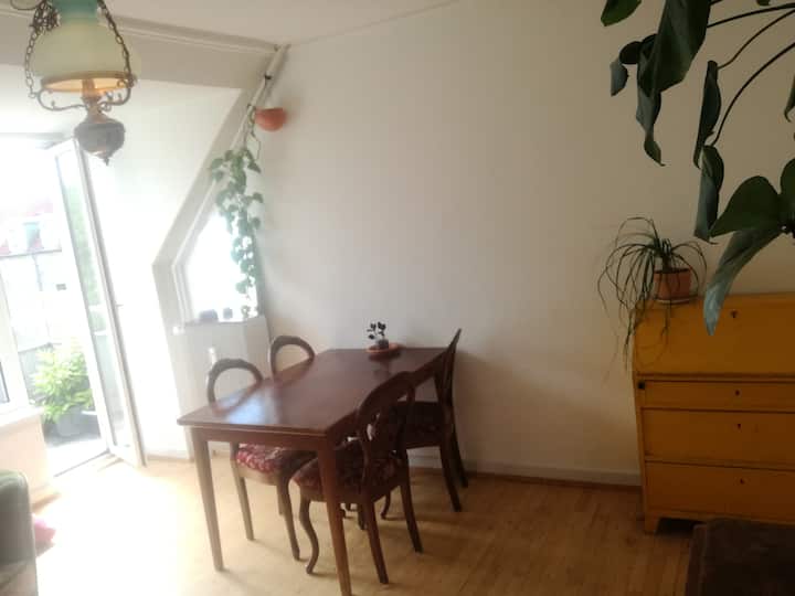 Sunshine Balcony Apartment - Copenhagen Airport (CPH)