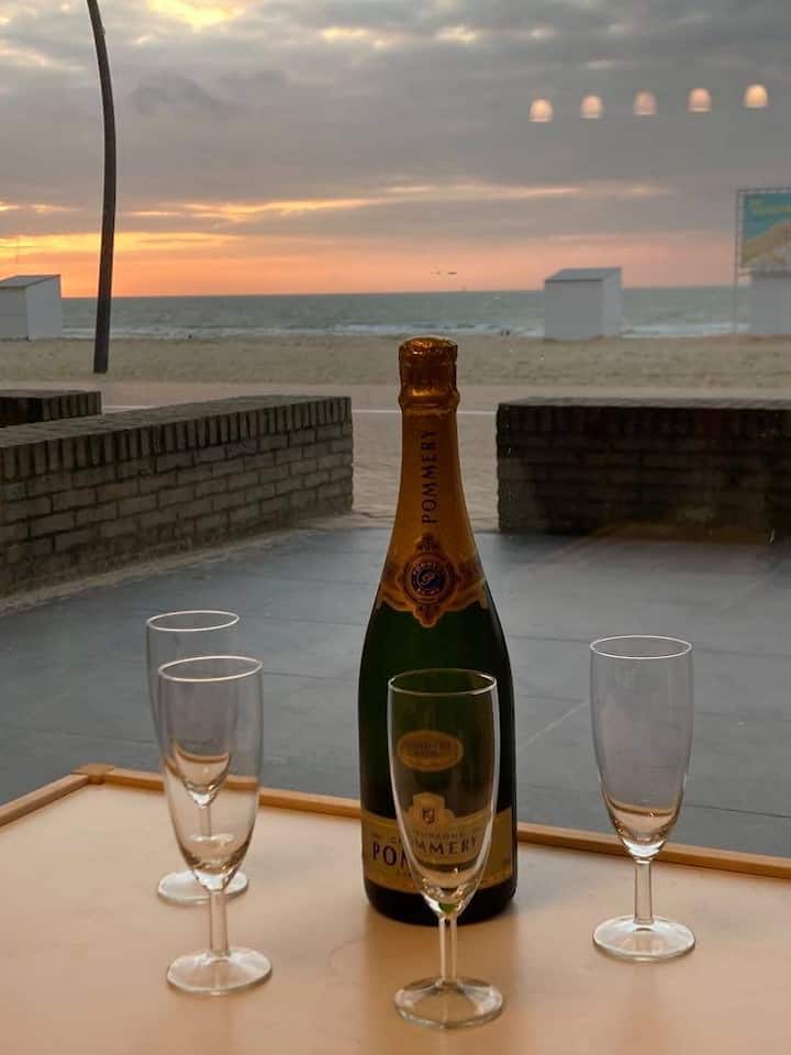 #Appartement Spacieux Au Rdc Sur La Digue - De Panne