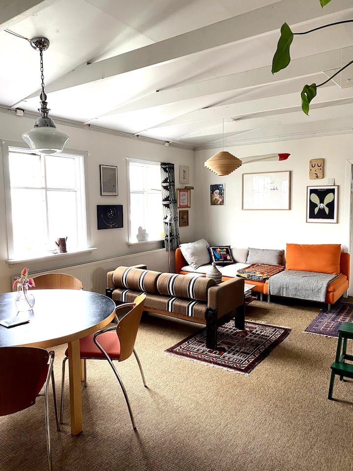 Beautiful Loft In The Heart Of The City - Reykjavik