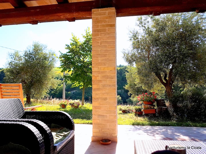 Camera Matrimoniale Tripla Con Bagno - Moresco