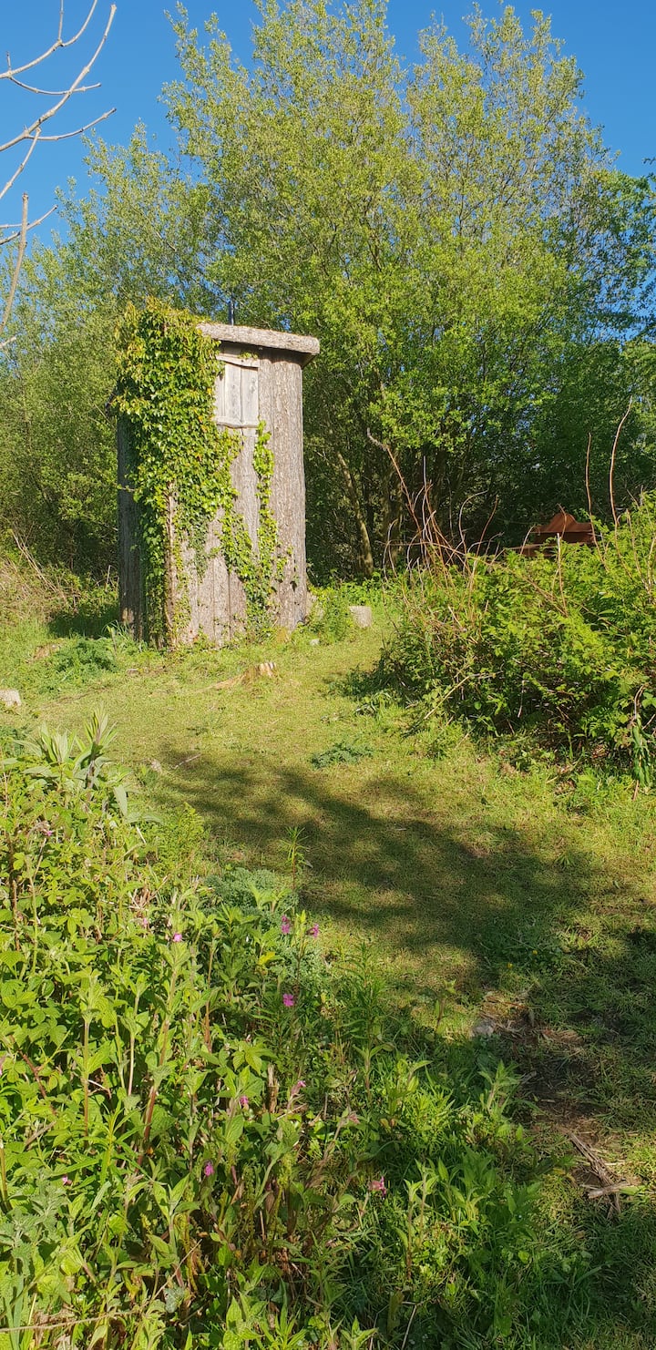 Private Group Camping Field - Cardigan