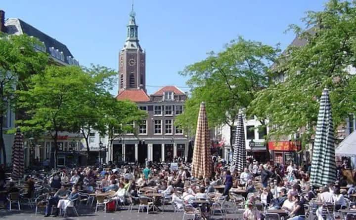 Center Of Haarlem - Zandvoort