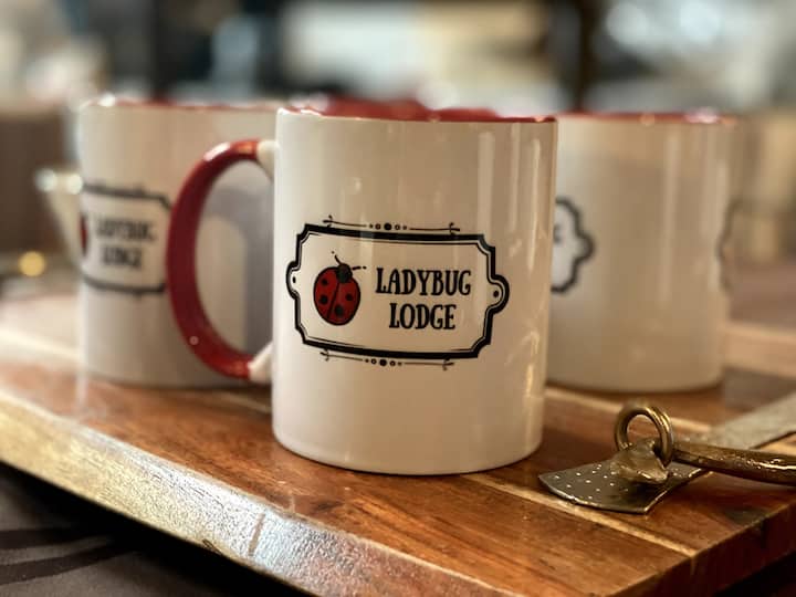 Ladybug Lodge: Gateway To Northern Saskatchewan - Saskatchewan
