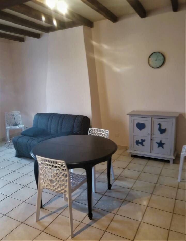 Beaulieu Sur  Loire :
Appartement Complet 50 M² - Belleville-sur-Loire