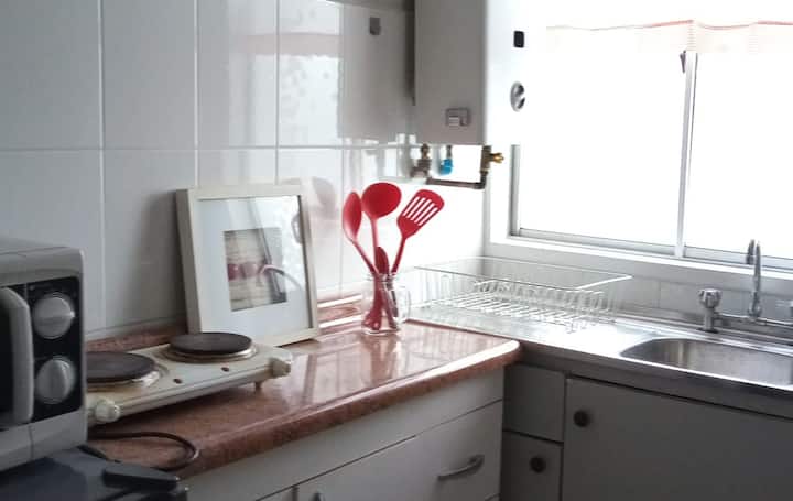 Acogedora Cabaña En Valdivia - Valdivia