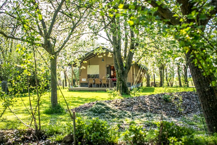 Glamping Voor Je Rust & Om Te Ontstressen - Netherlands