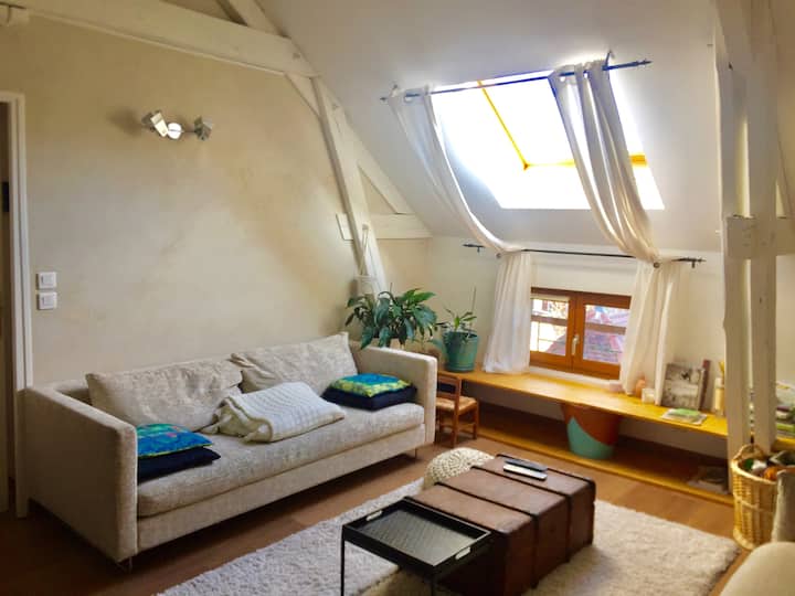 Appartement, Cosy, Centre Historique De Troyes - Troyes