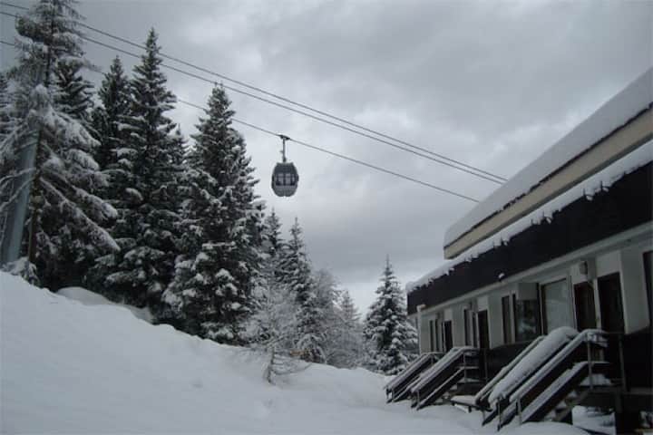 Marilleva  1400  Winter & Summer - Madonna di Campiglio