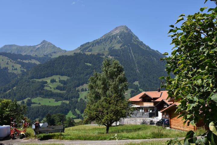 Schönes Studio Mit Aussicht Auf Den Niesen - Kiental