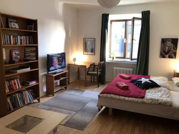 Maple Leaf Residence Apartment 2 - Gothenburg