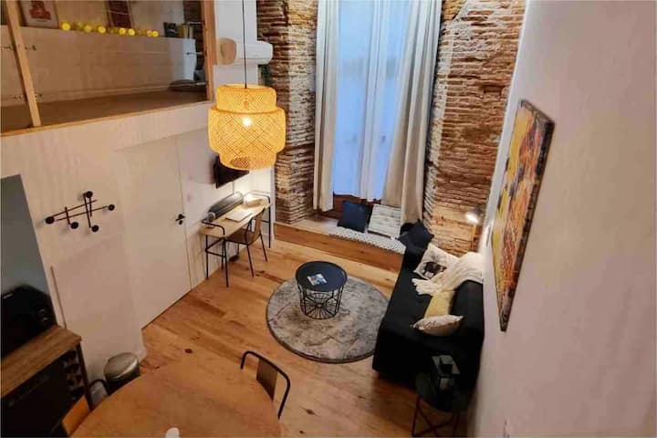 Loft Esprit Industriel Et Briques Toulousaines - ibis Styles Toulouse Cite Espace