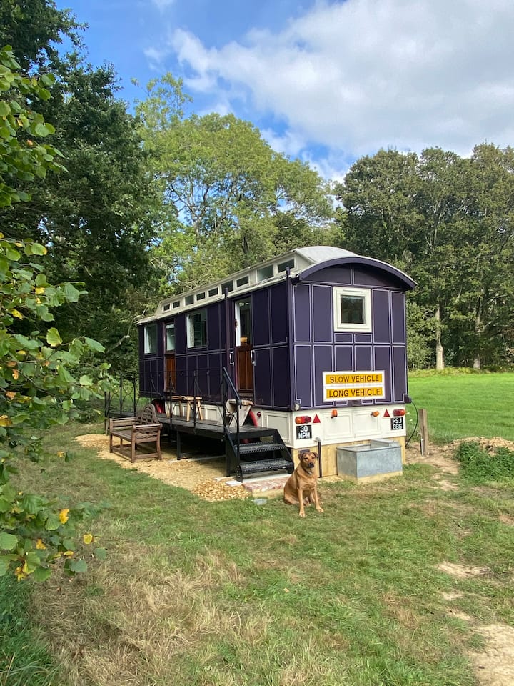 Beautiful 1940 Original Showmans Living Wagon - Horsham, UK