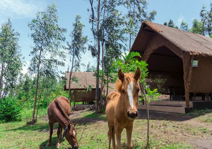 Thavalam Vacation Rentals & Homes - Kerala, India | Airbnb