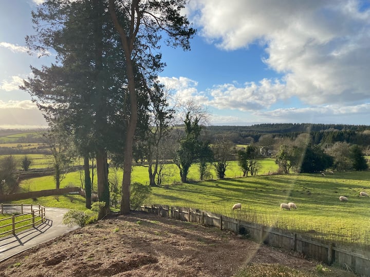 Bee Cottage -  2 Bed Cottage In Wye Valley Aonb - Usk