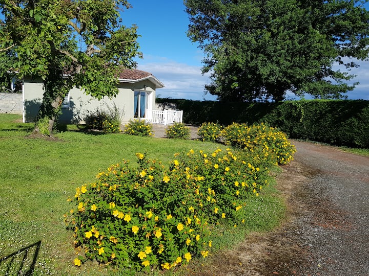 Gîte Bleu, T3 Charmant Pour 4 Personnes - Landes