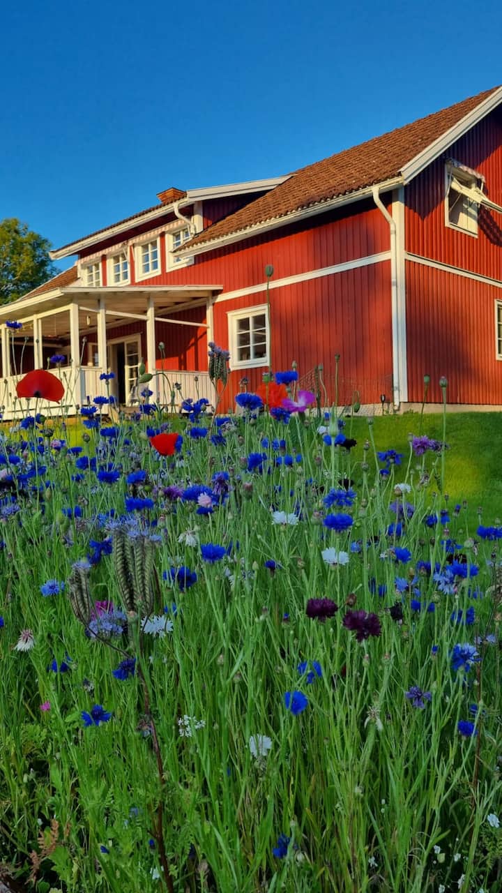 Ferienhaus Goldstück Finnerödja - Laxå