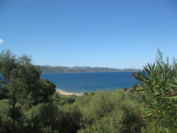 Appartement Avec Vue Sur Le Golf De Saint Florent - Patrimonio