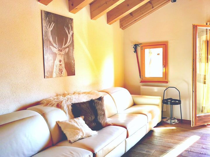 Charmante Loft Wohnung In Den Bergen - Formazza