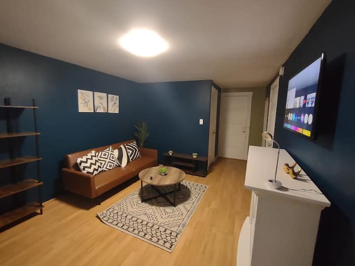 1 Br&1bath/lakeview/lincolnpark/close To Wrigley - Chicago