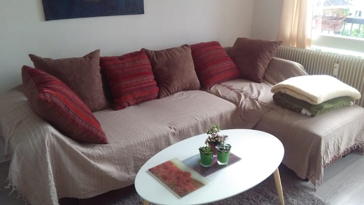 Lumineux F2 Proche Plage/lac Et Centre-ville. - Thonon-les-Bains