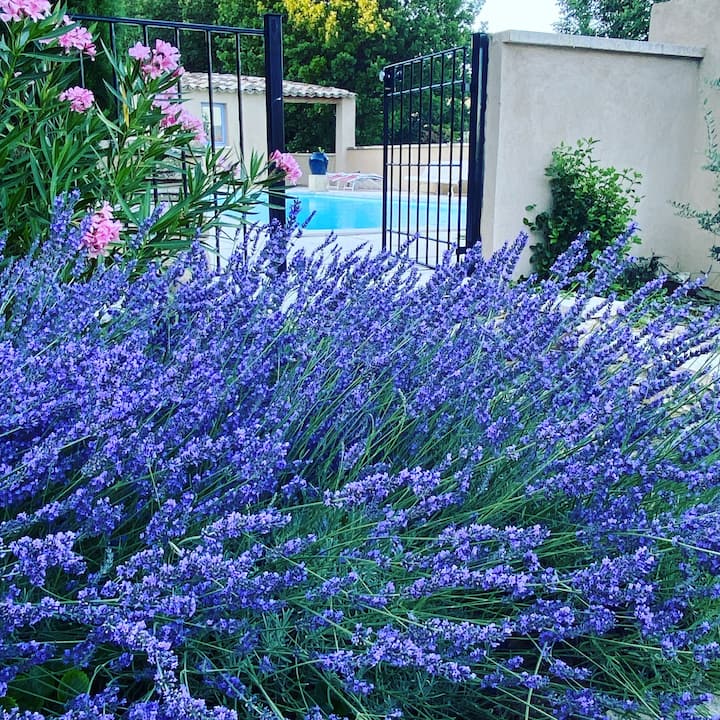 Jolie Maison Provençale Avec Piscine Privée+airco - Apt