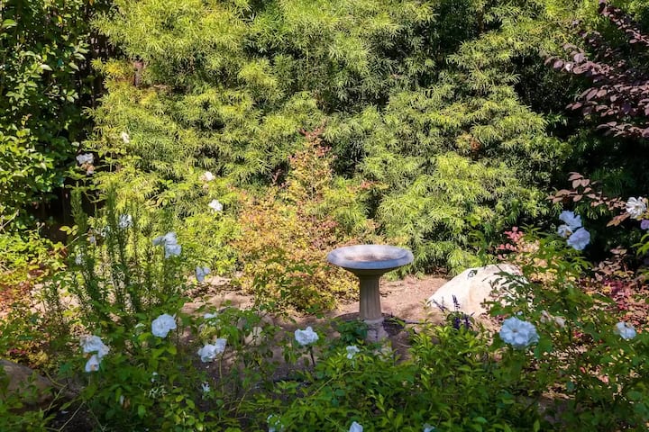 Cheerful 2 Bedroom 2 Bath Cottage With Fireplace - Santa Barbara