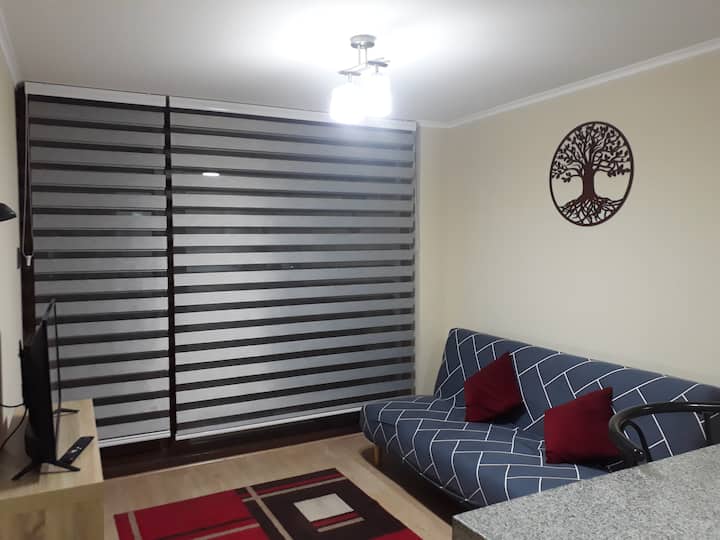 Moderno Depto Inmediato Al Lago Y Lugares Interés - Villarrica