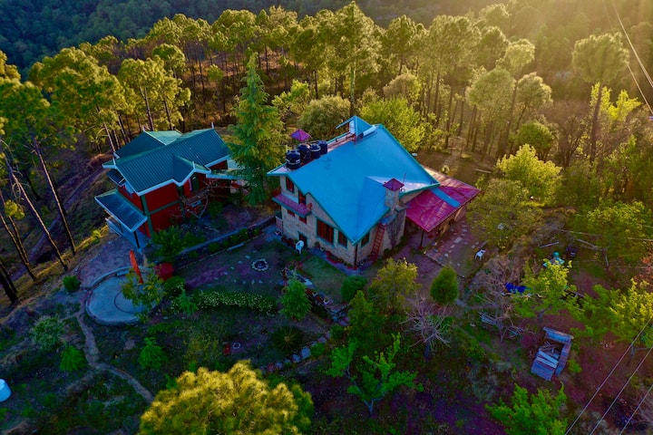 Barog Diaries -Kasauli Hills -Quiet Little Cottage - Solan