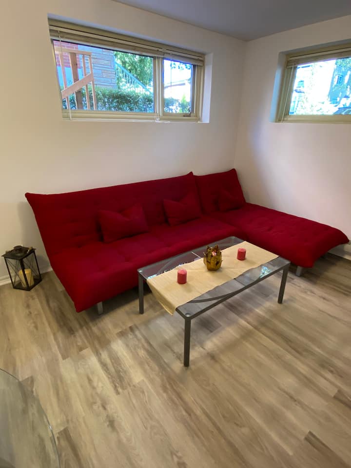 Très Bel Appartement Tout Rénové Avec Accès Privé - Montreal
