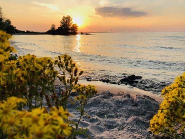 Gear Up In This Unique, Restful Accommodation. - Enkhuizen