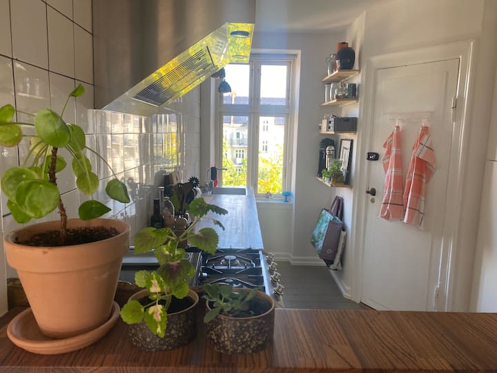 Skøn Rummelig Lejlighed Midt På Nørrebrogade - Copenhagen