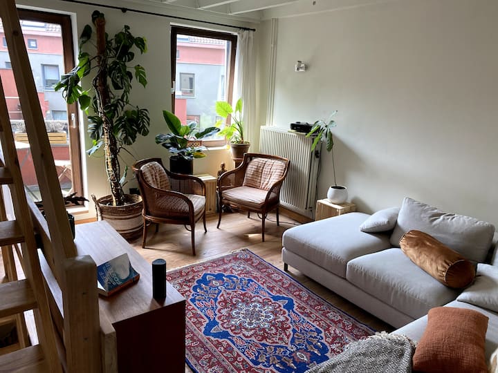Bright And Cosy Little House In The City Centre - Gand